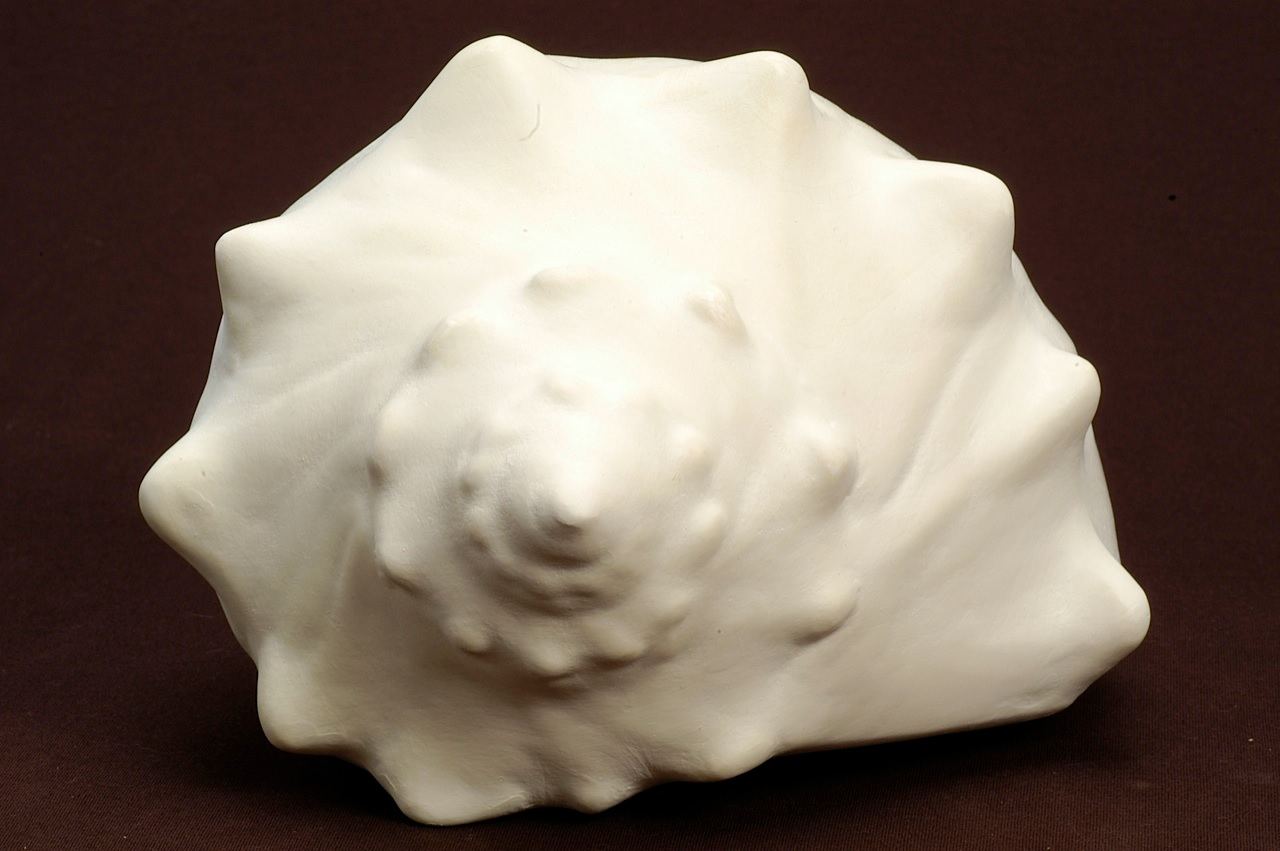 Conch Shell Ceramic Pet Urn